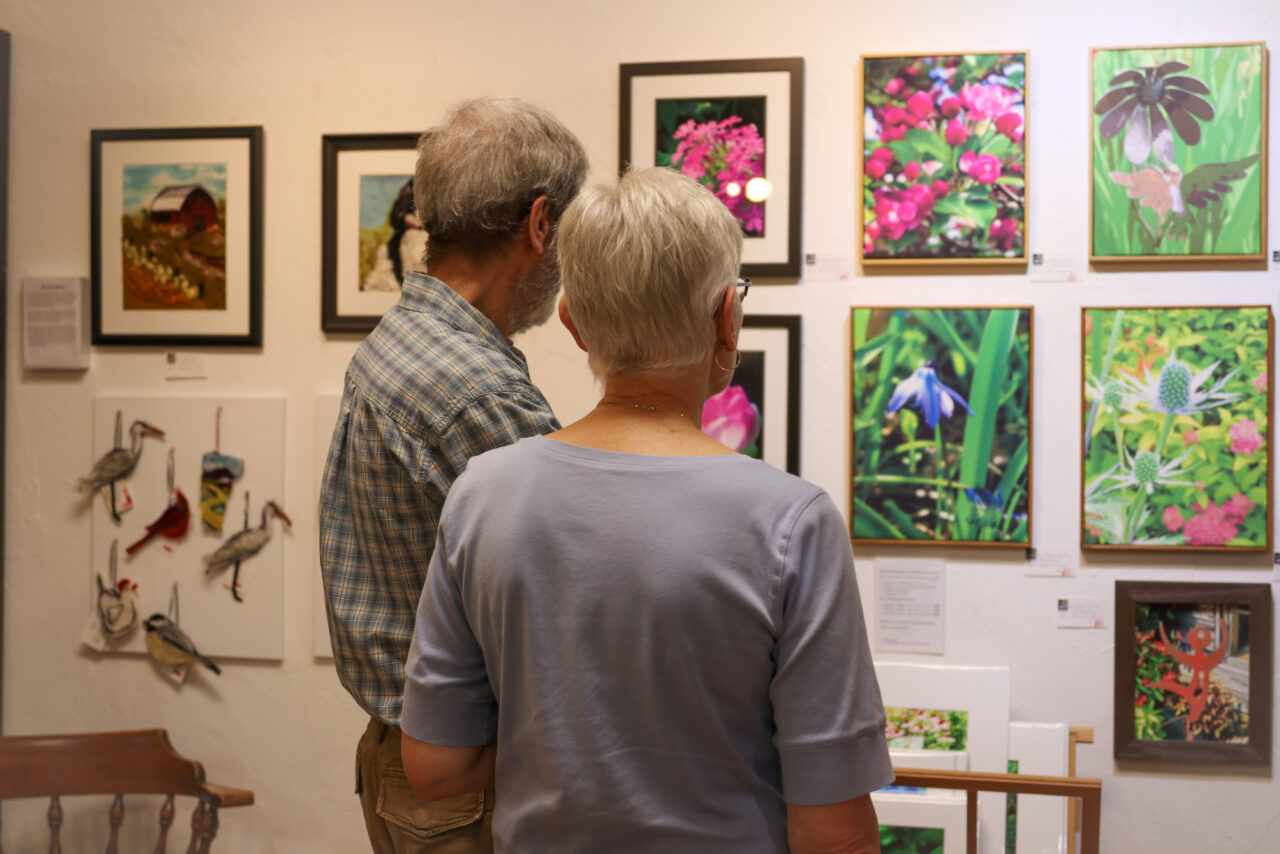 Summer at the MAC Center for the Arts - Discover Newport Vermont